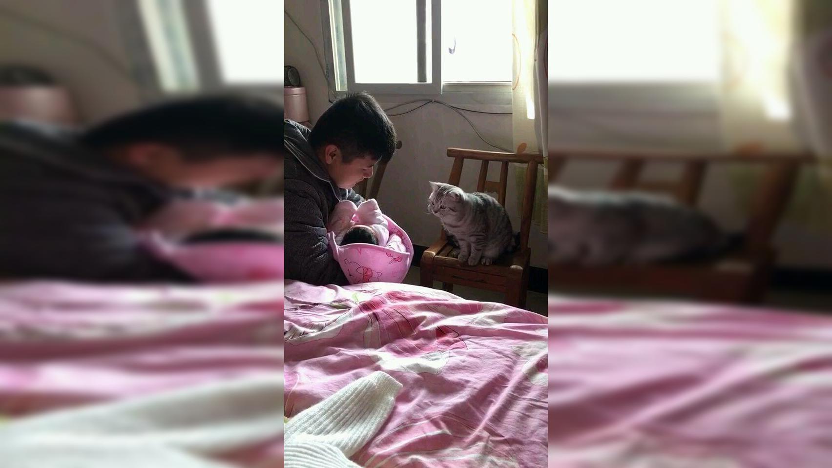 宝宝出生回家的第一天,小尾巴很好奇,想摸宝宝爸爸阻止了