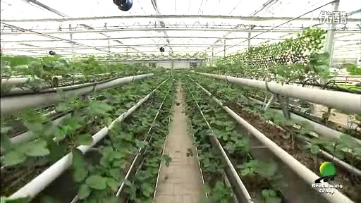 北大荒集团宣传片英文版