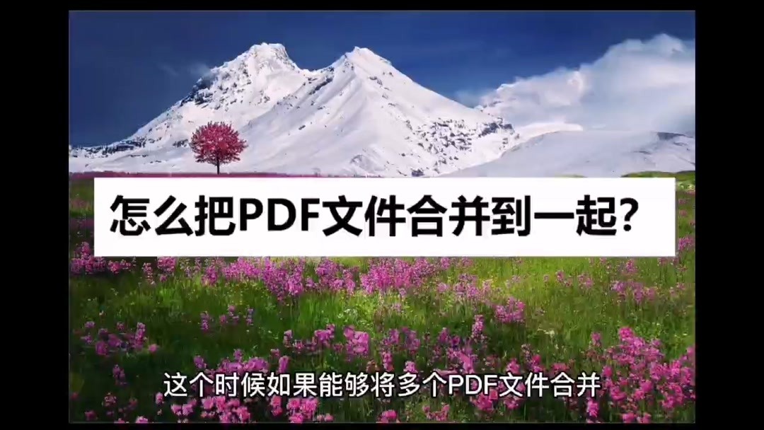 怎么把PDF文件合并到一起?