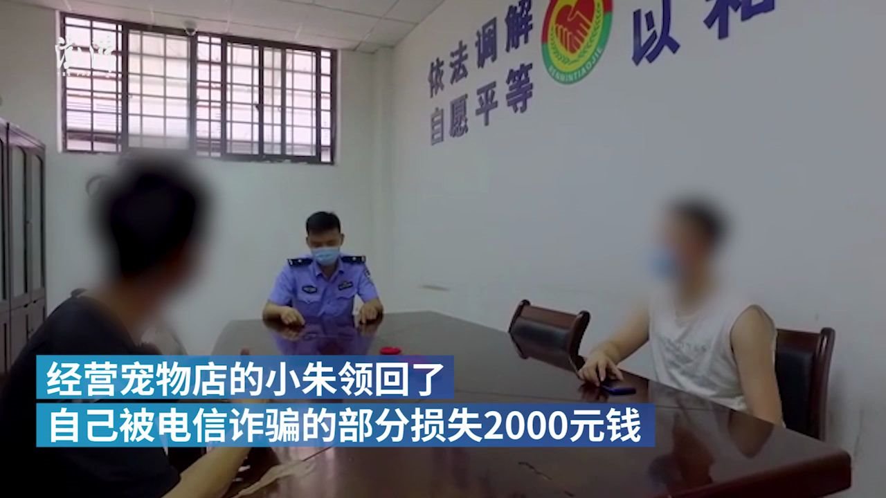 1.5万网购九只猫被骗,警方说服骗子分期退款