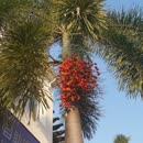 连成集团（泵业）施志强 