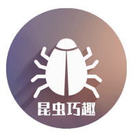 方方聊电影 