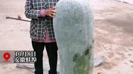 10月8日,安徽蚌埠,居民家中结出“巨型冬瓜”,最大的重达104斤