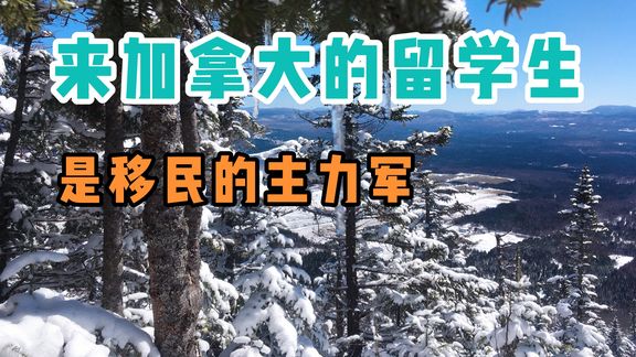 留学生如何才能提高在加拿大移民的成功率?