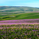 青岛鑫金邦清洁 