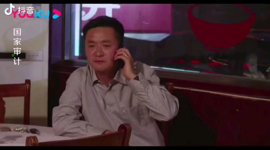 被禁播的电视剧:国家审计