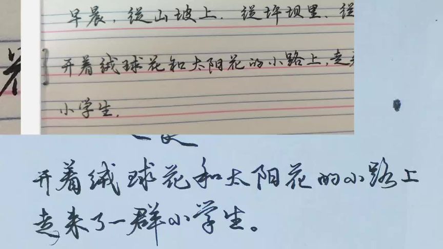 硬笔行书章法细节:没有变化,状如算子。 #硬笔书法 #神笔章法