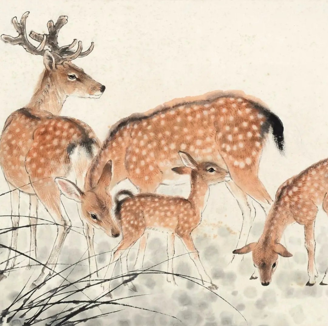 历史鹿 