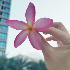 w你的小可爱 