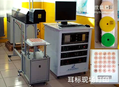 激光打标机 气动打标机 打标专家 打码机 打号机 标刻机