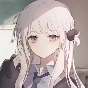 笔墨SL 