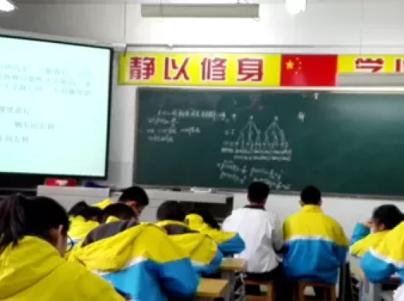 相似三角形的应用