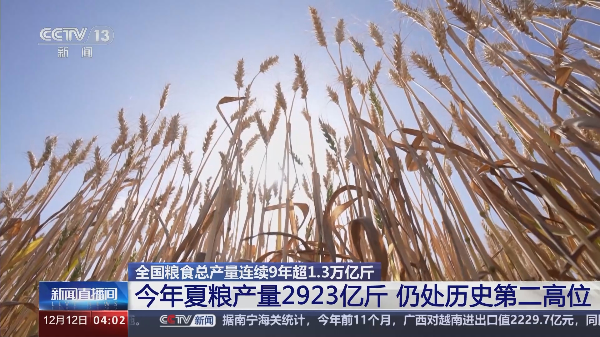 [新闻直播间]全国粮食总产量连续9年超1.3万亿斤 各地稳面积提单产...