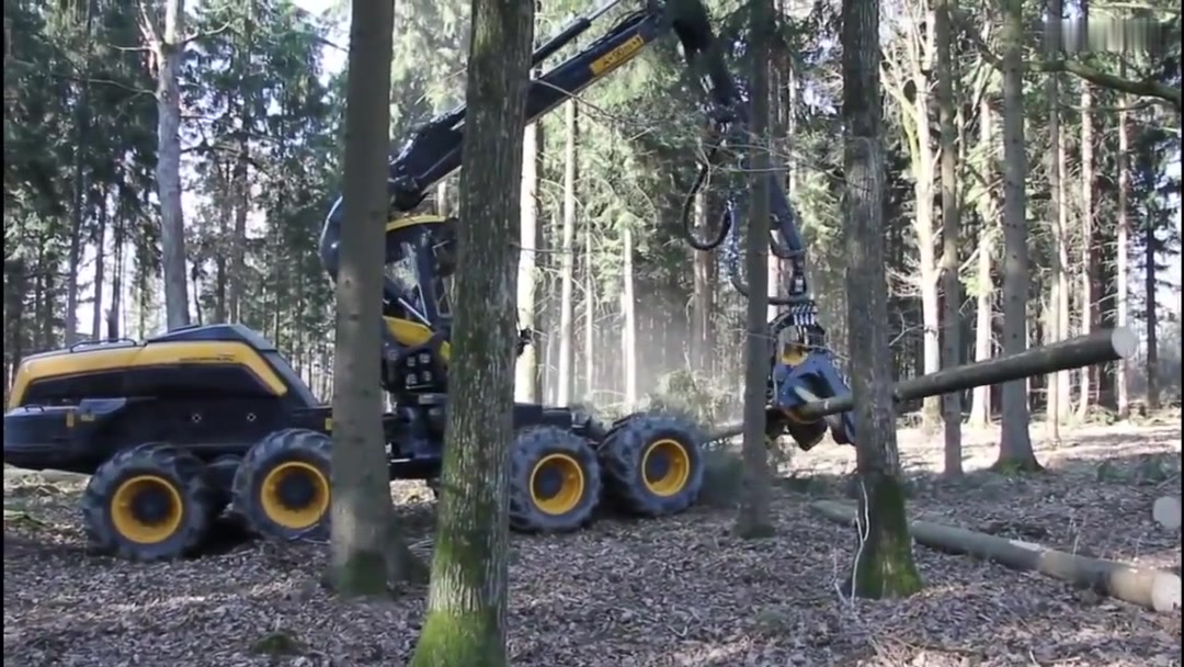 我看过最现代化的大型伐木机器 - 木材切割和玩一样