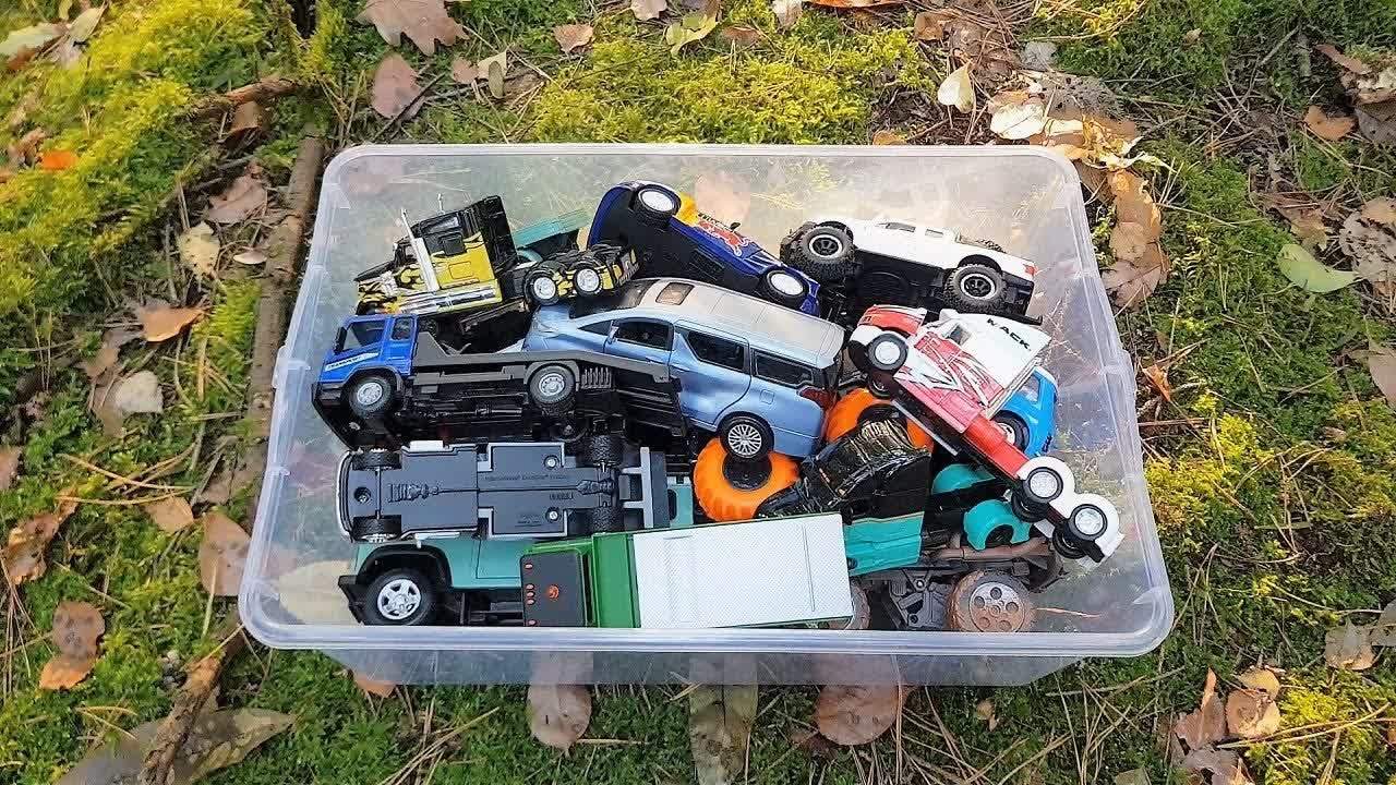 展示森林里装满汽车模型的箱子