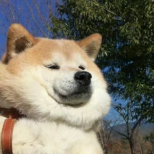 苏了个然 