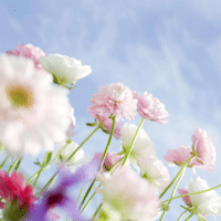 面朝最蓝的晴天 