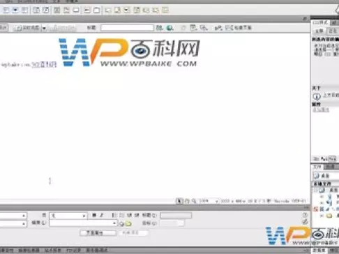 中国蜘蛛网——DW的介绍和使用方法