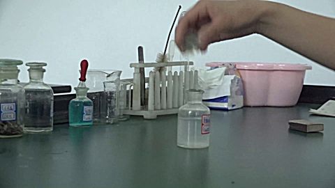 2018年初中化学实验操作考试 试题二化学变化的现象