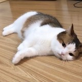 c蔷愔 