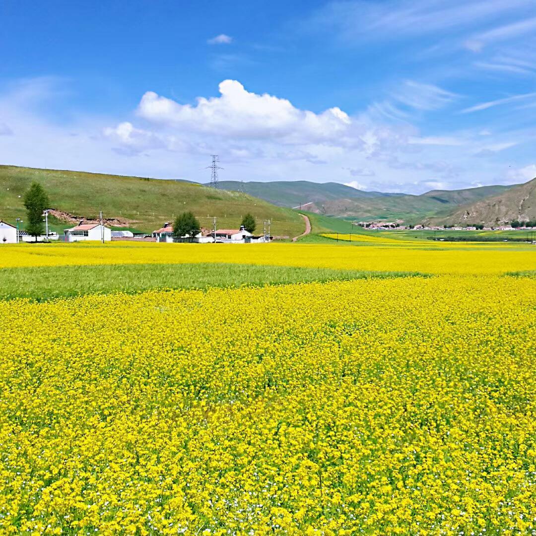 岚语小筑 