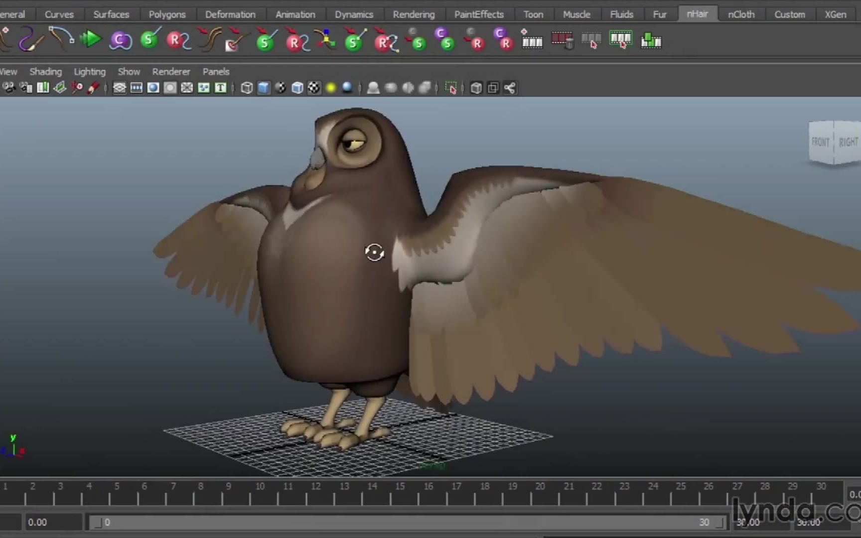 maya骨骼绑定飞行动物模型制作