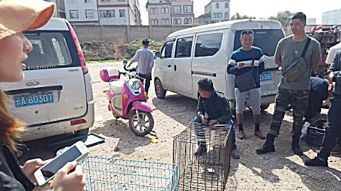 男子拉着一条马犬想要购买黑狼犬加昆明犬,黑狼犬和昆明犬1100元!