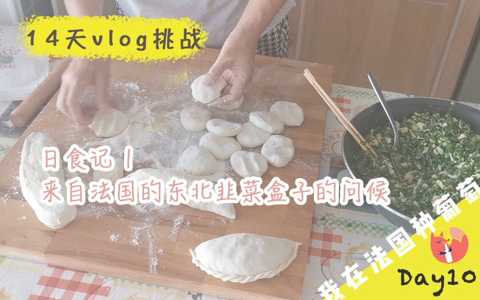 我在法国种葡萄vlog|Day 10:如何在法国吃到地道的东北韭菜盒子?泪流...