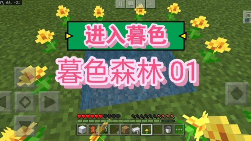 东辰[我的世界] 暮色森林 | 01 进入暮色