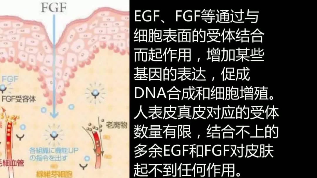多肽修护冻干粉活性越高越好吗?是否有副作用?冻干粉原理