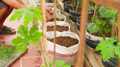 土壤有4个类型,一招测试你家土壤结构,以后养花种菜都不怕