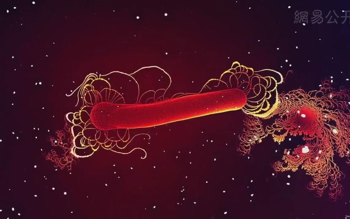 【TED】癌症的治疗曙光(英汉双语字幕)