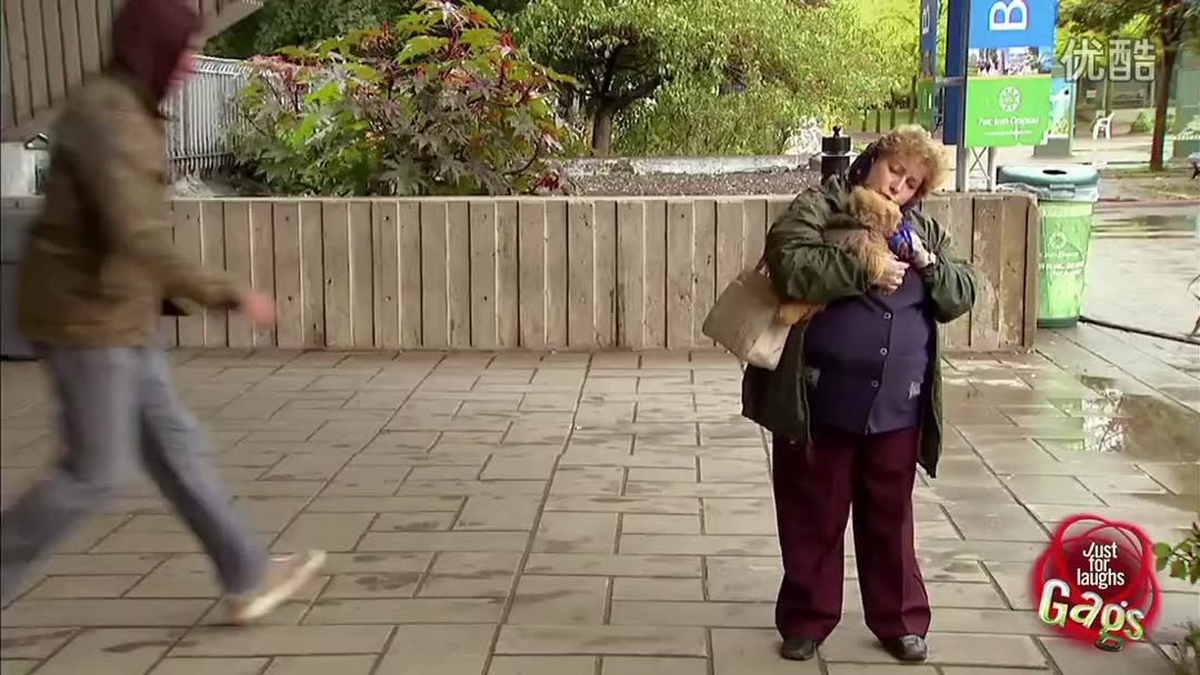 搞笑视频_搞笑图片_狗狗砸贼大爆笑