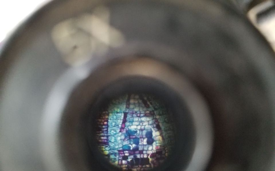 【科教版·科学-六下】第一单元1.放大镜的特点