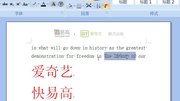 word2007将中文汉字的字体格式不允许用于英文