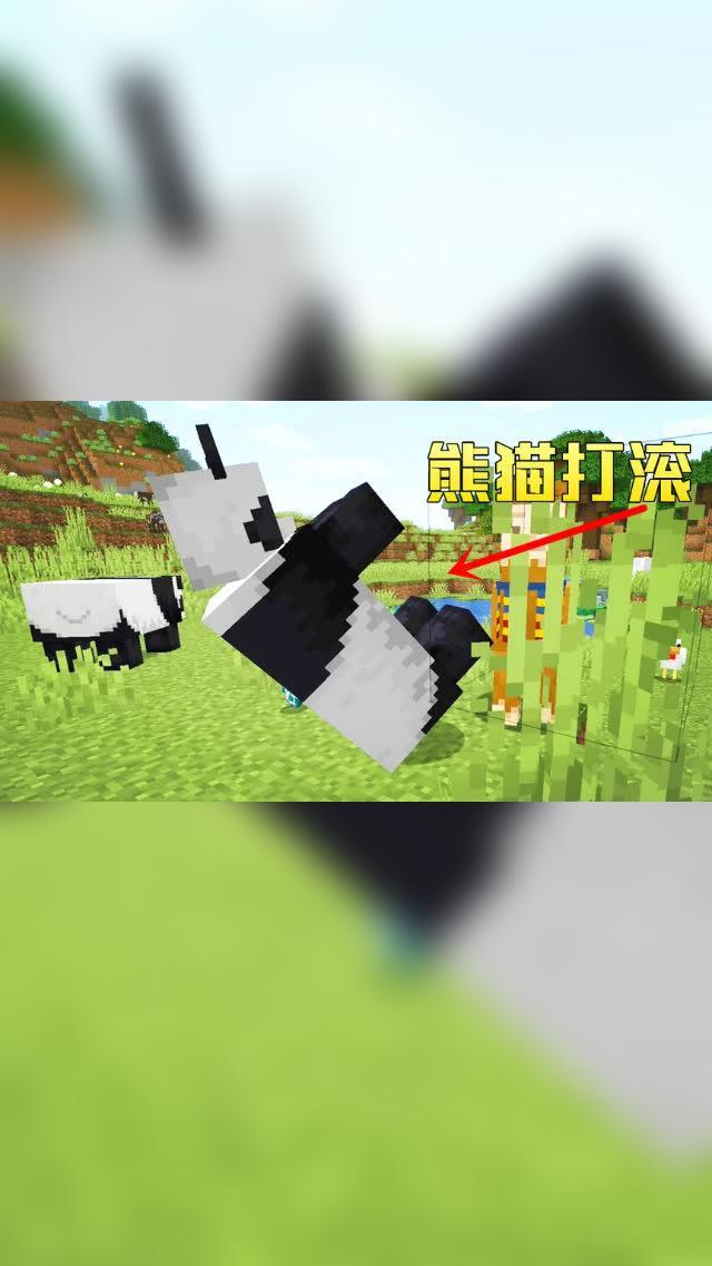 我的世界冒险记PC端测试版大熊猫,卖萌大翻滚