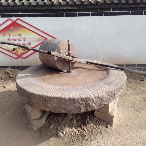 我思故我在 