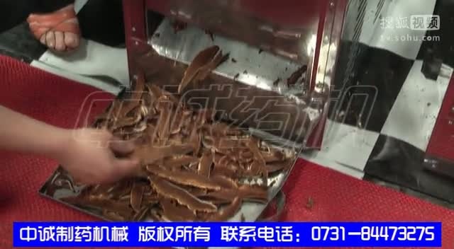 灵芝饮片切片过程