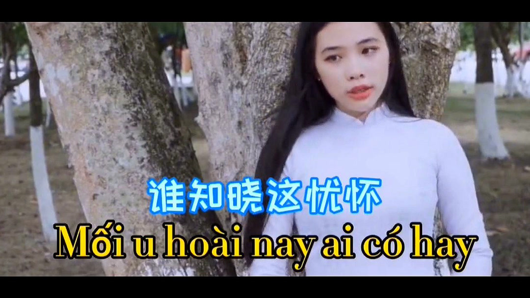 一首好听的越南校园歌!