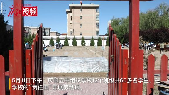 庆阳五中学生班级“责任田”里忙播种