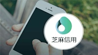 支付宝“芝麻信用”共五级, 等级越高特权越多, 你在哪个等级?