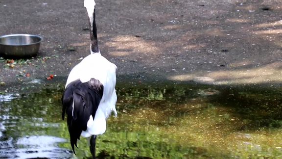 天啦,难怪我老公不来吃,原来盘中根本就没有食物,看来今晚他只能睡...