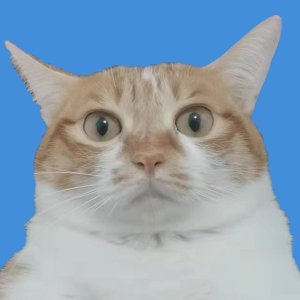 钛锂镨 
