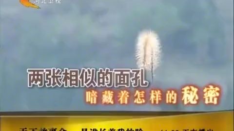 俩互不相识的姑娘,竟然长得一模一样,真是太巧了。
