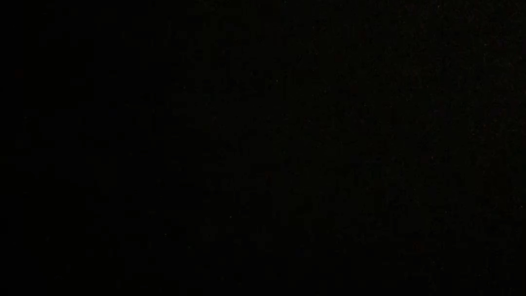 怪物图鉴介绍第一期 食人花狗 芒果自读