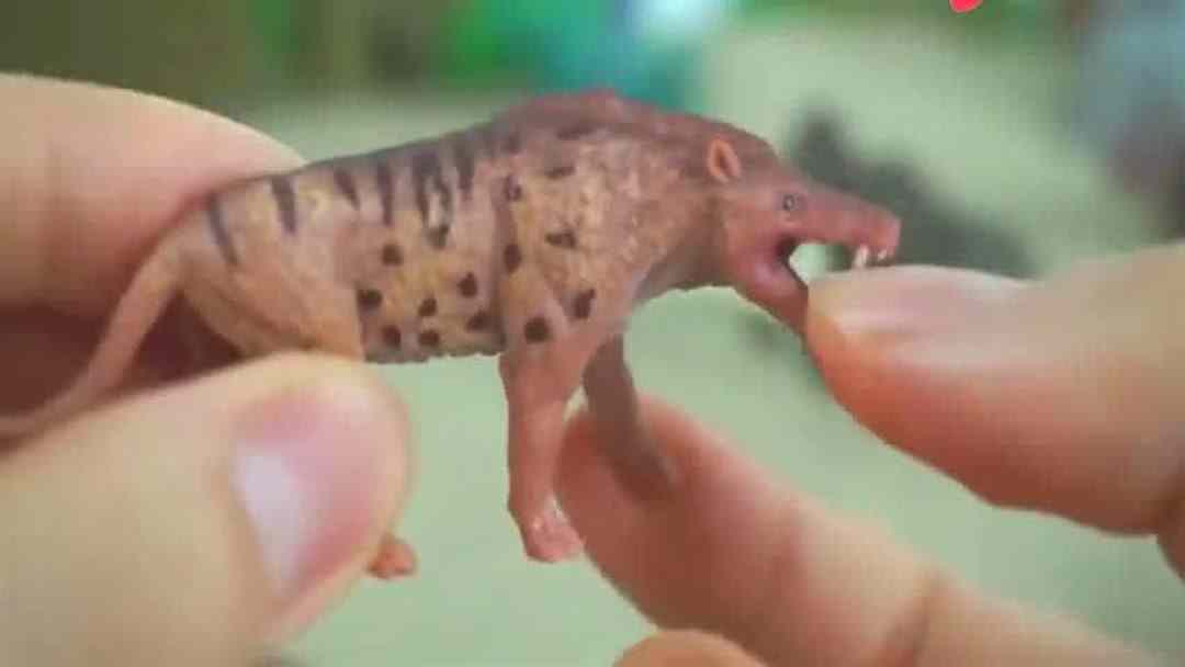 儿童玩具:创意卡通野生动物玩具模型。