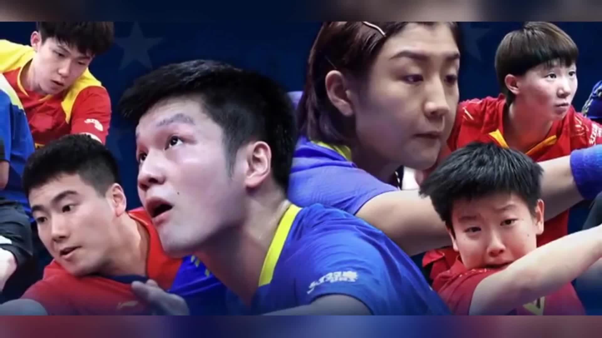 正式出征!林高远与樊振东对练,全力复仇张本,捍卫国乒荣誉