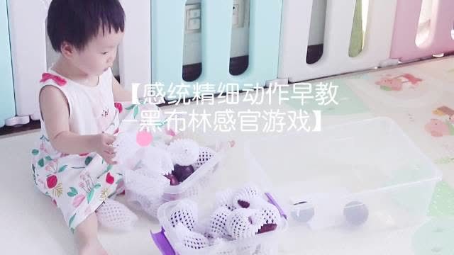 【感统 精细动作早教 黑布林感官游戏】