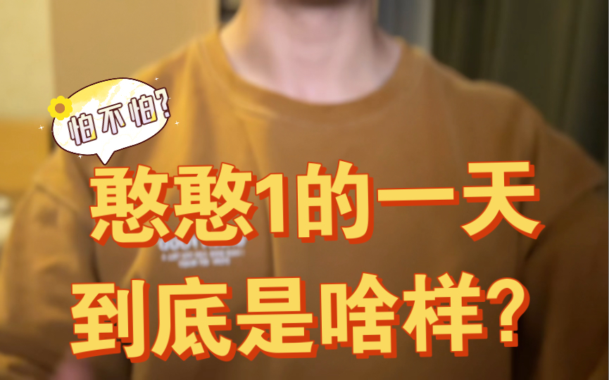 关于憨憨1的一天到底是啥样?
