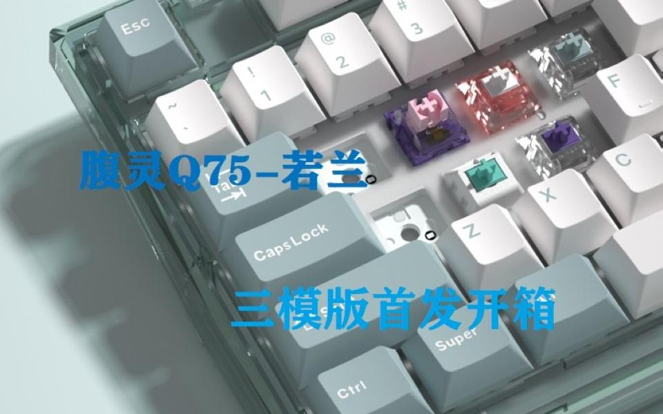 腹灵Q75三模版若兰配色首发开箱